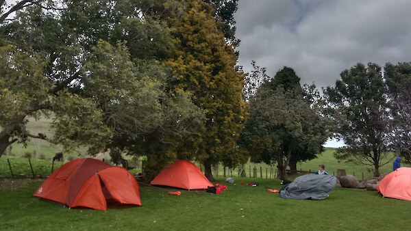 Waikato Environmental Education Fund • Pukemokemoke Bush Reserve